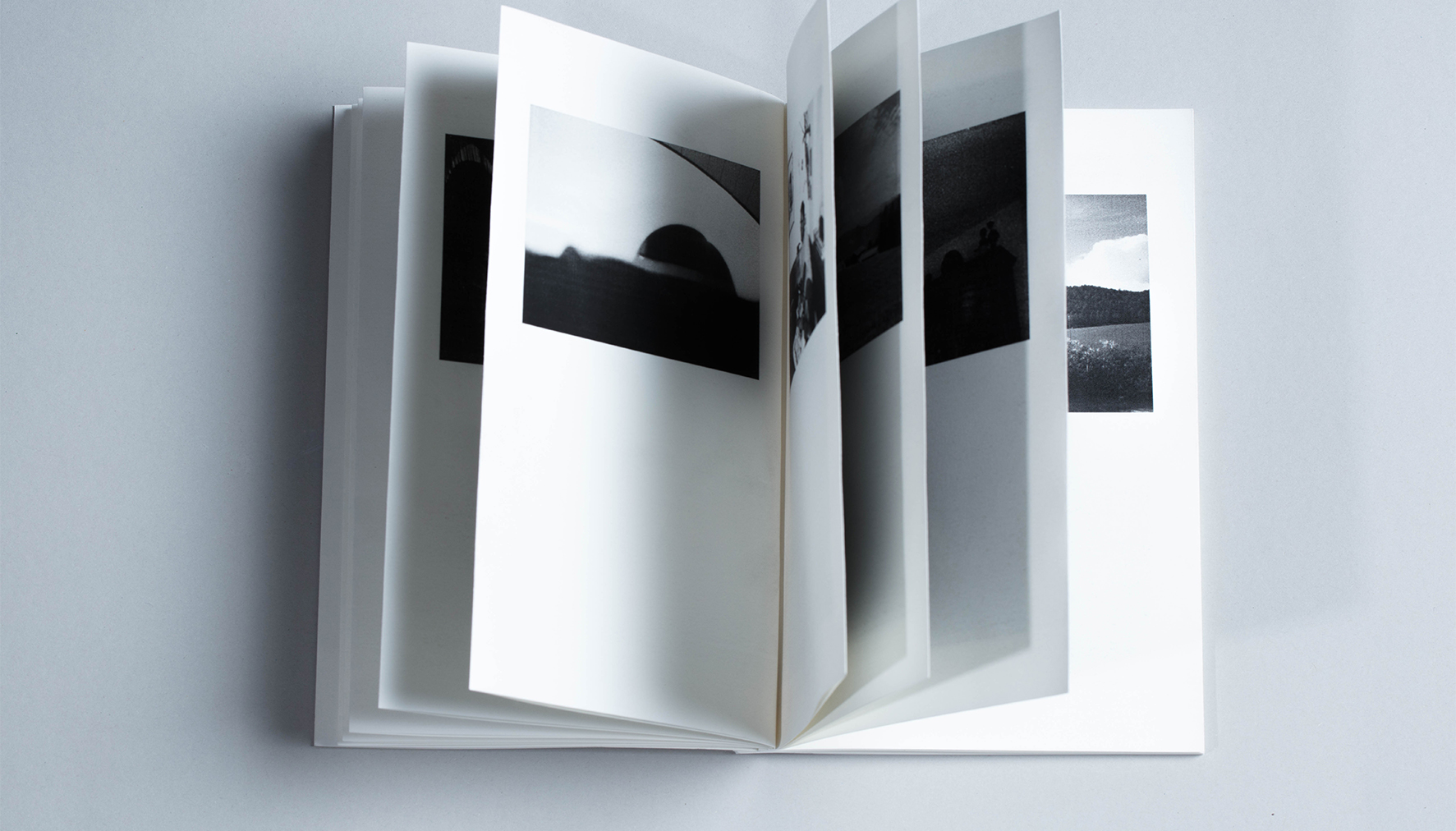 Laura Graf — LA FAMILIA